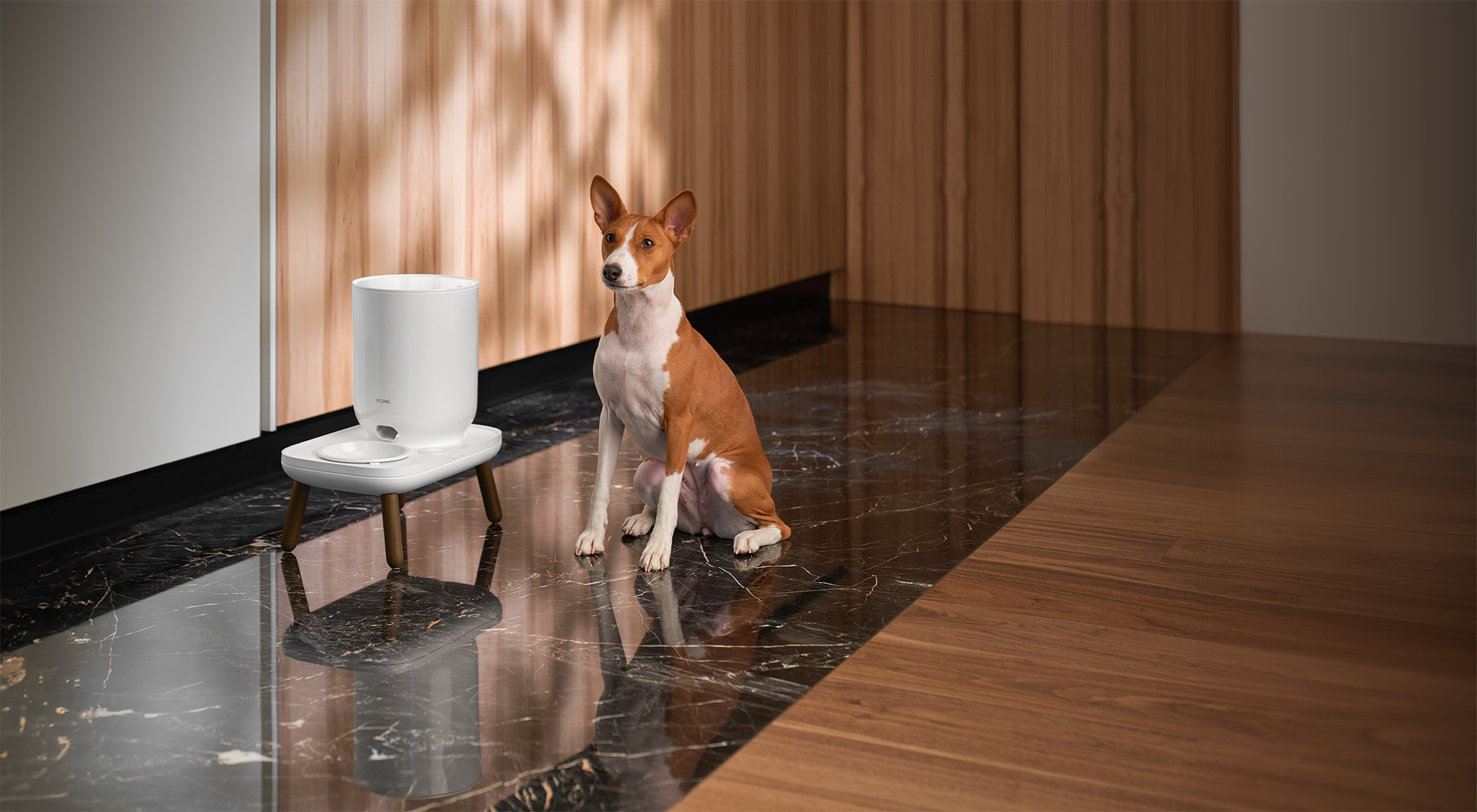 Автоматическая кормушка BORK Z650 – купить в официальном интернет-бутике БОРК, цены на сайте